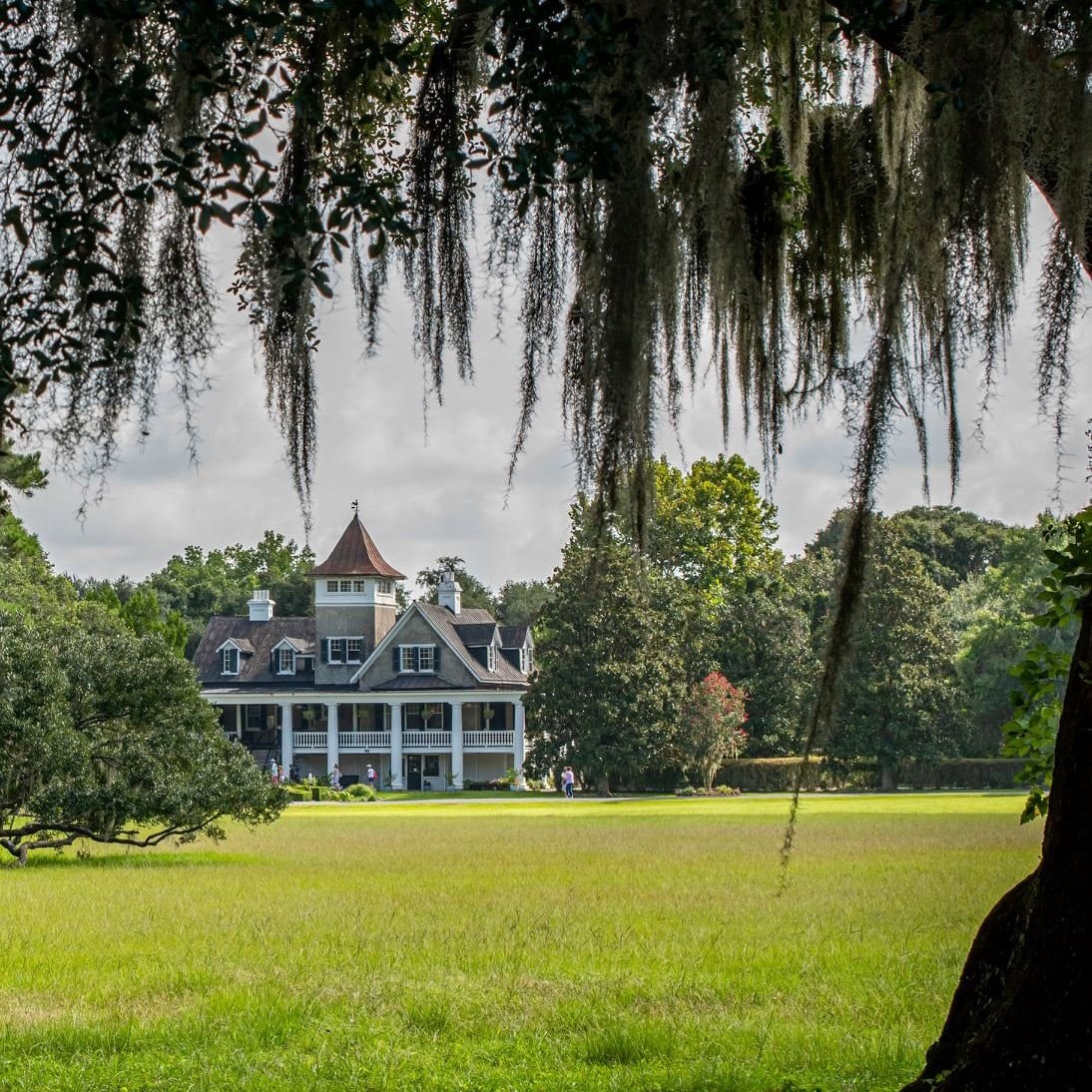 Explore Magnolia Plantation & Top Plantation Tours in Charleston